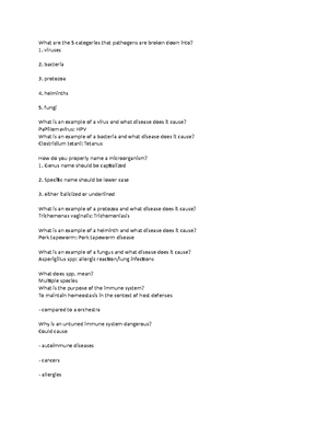 Dna and protein synthesis webquest - Name ...