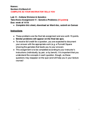 Evolve Module 4 Worksheet Integumentary System Lessons - Medical ...