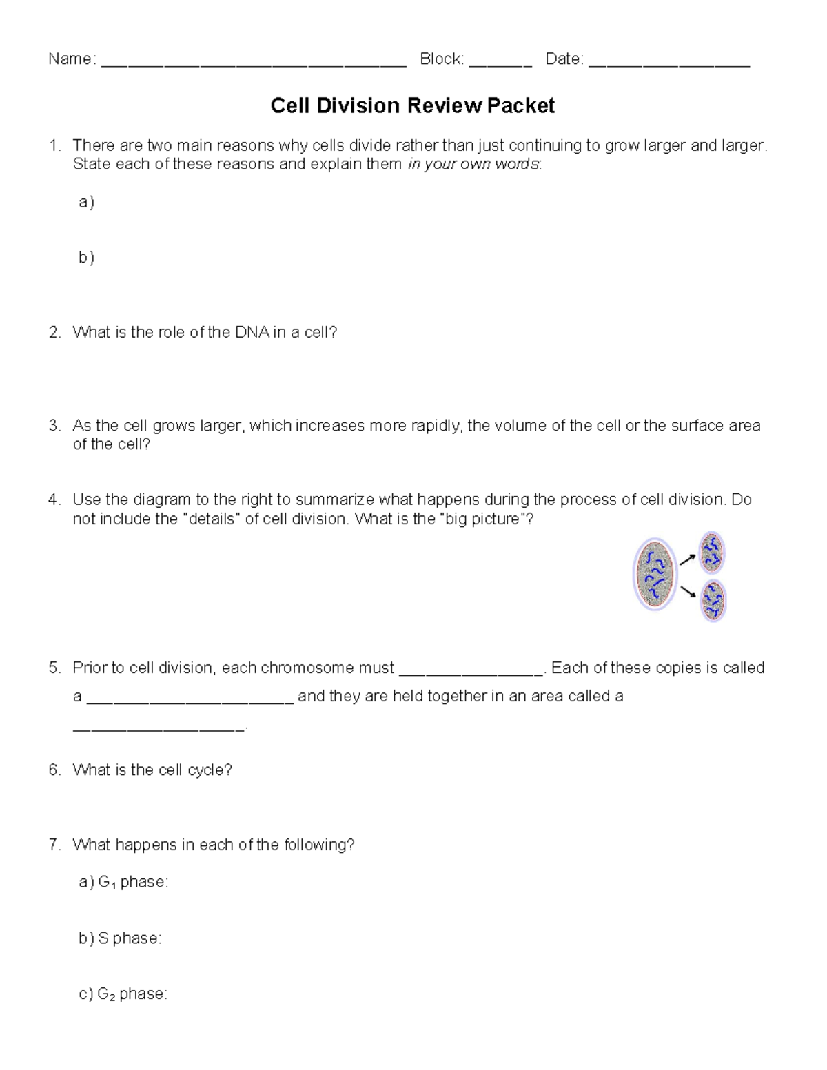 Cell division review packet - Name ...