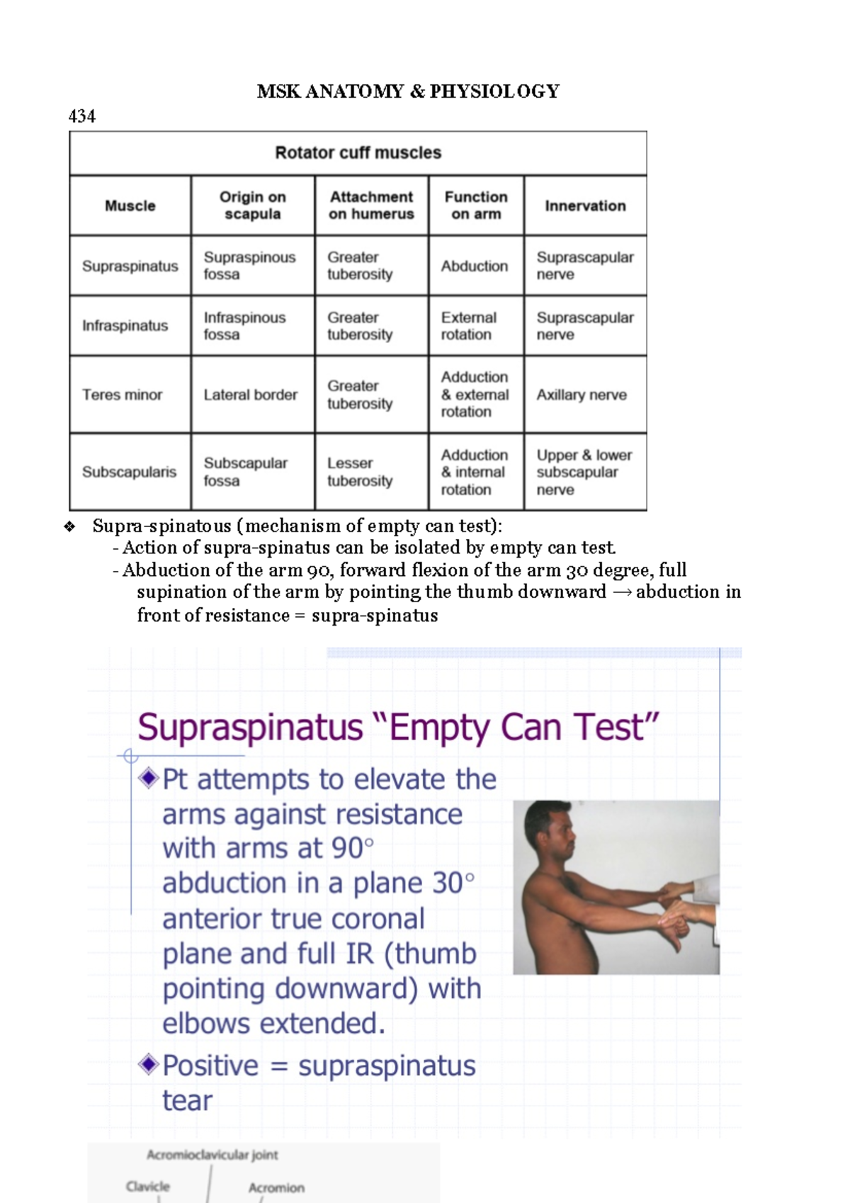 UW Notes 11 - MSK - Resumen - MSK ANATOMY & PHYSIOLOGY 434 Supra ...