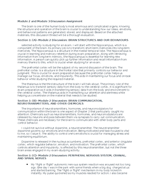 David Chalmers How do you explain consciousness TED Talk - Right now ...