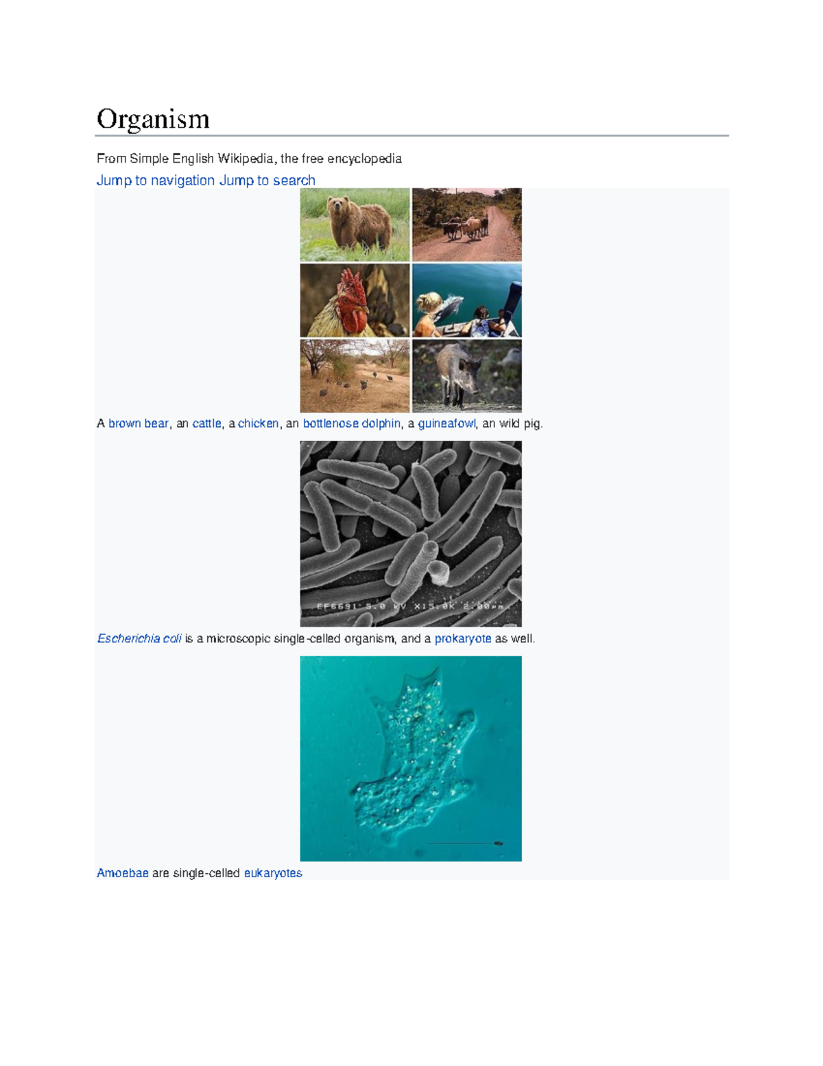 Organism - Grade: B+ - Organism From Simple English Wikipedia, the free ...