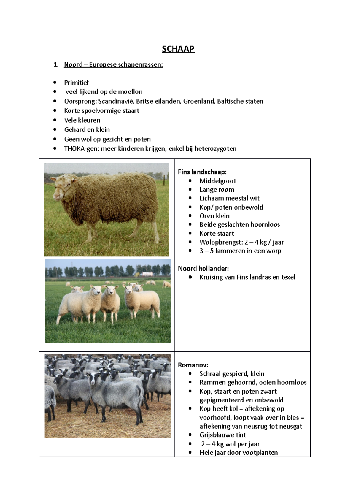 Schaap - Foto's + kenmerken van de schapen rassen - SCHAAP Noord ...