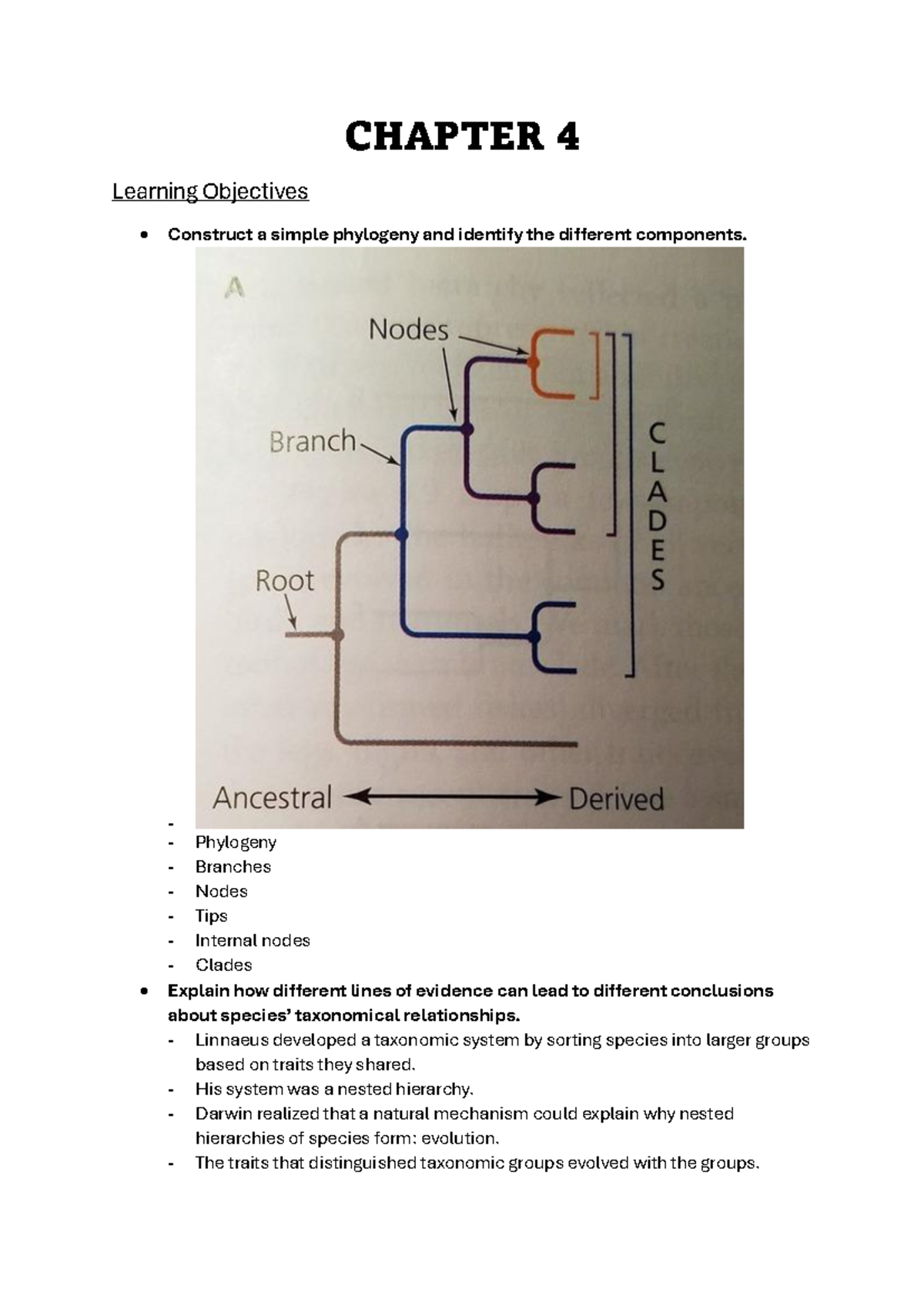 Chapter 4 - CHAPTER 4 Learning Objectives Construct a simple phylogeny ...