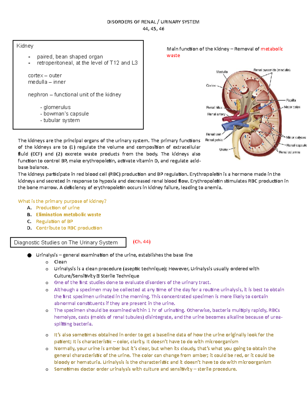 Notes renal - 44, 45, 46 Main function of the Kidney – Removal of ...