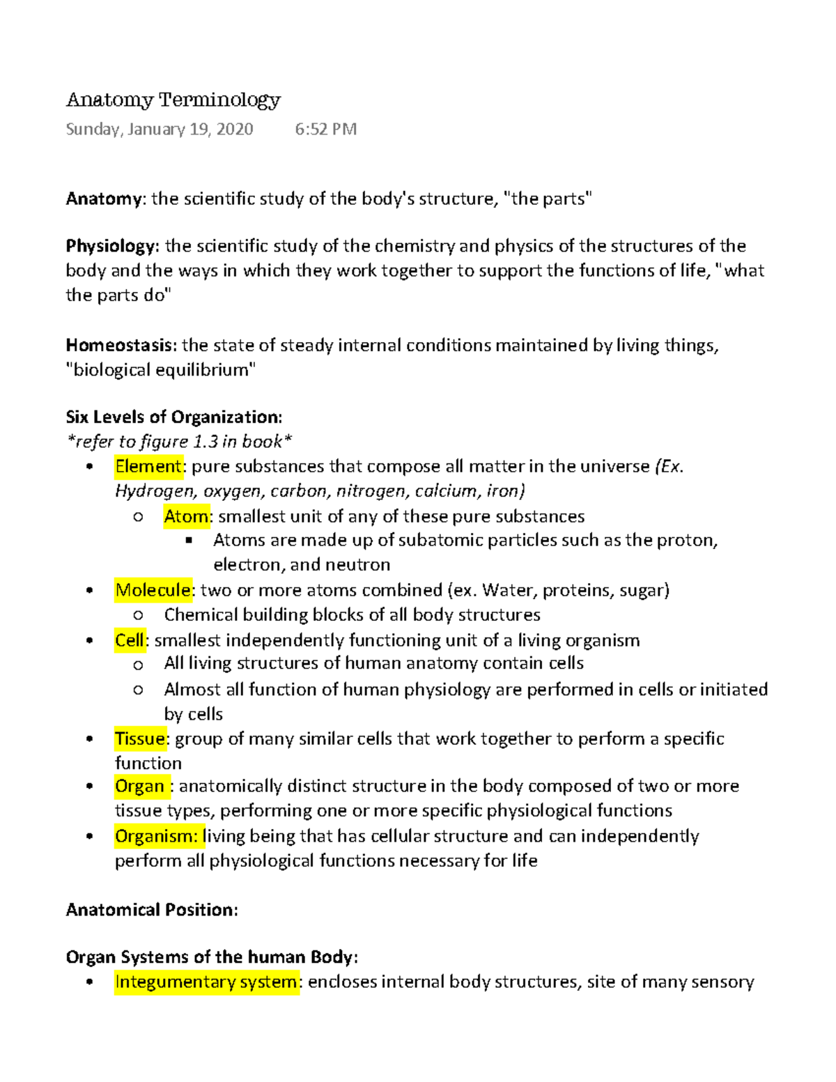 Anatomy Terminology - Anatomy: the scientific study of the body's ...