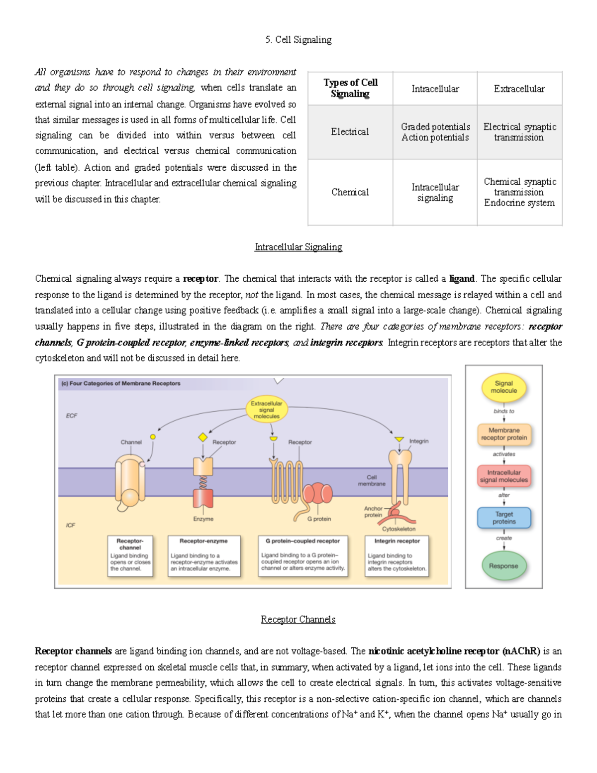 BIO 203 Cell Signaling Summary - 5. Cell Signaling All organisms have ...