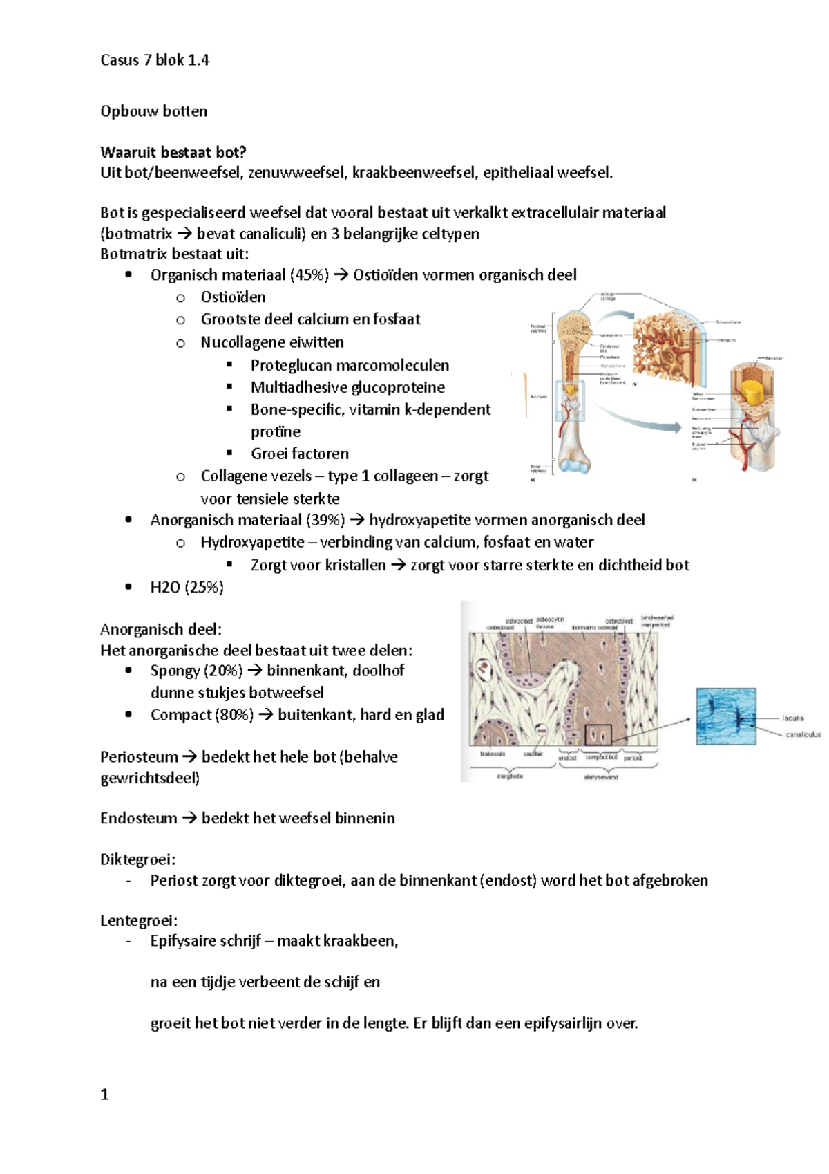 Knie - Knie - Opbouw boten Waaruit bestaat bot? Uit bot/beenweefsel ...
