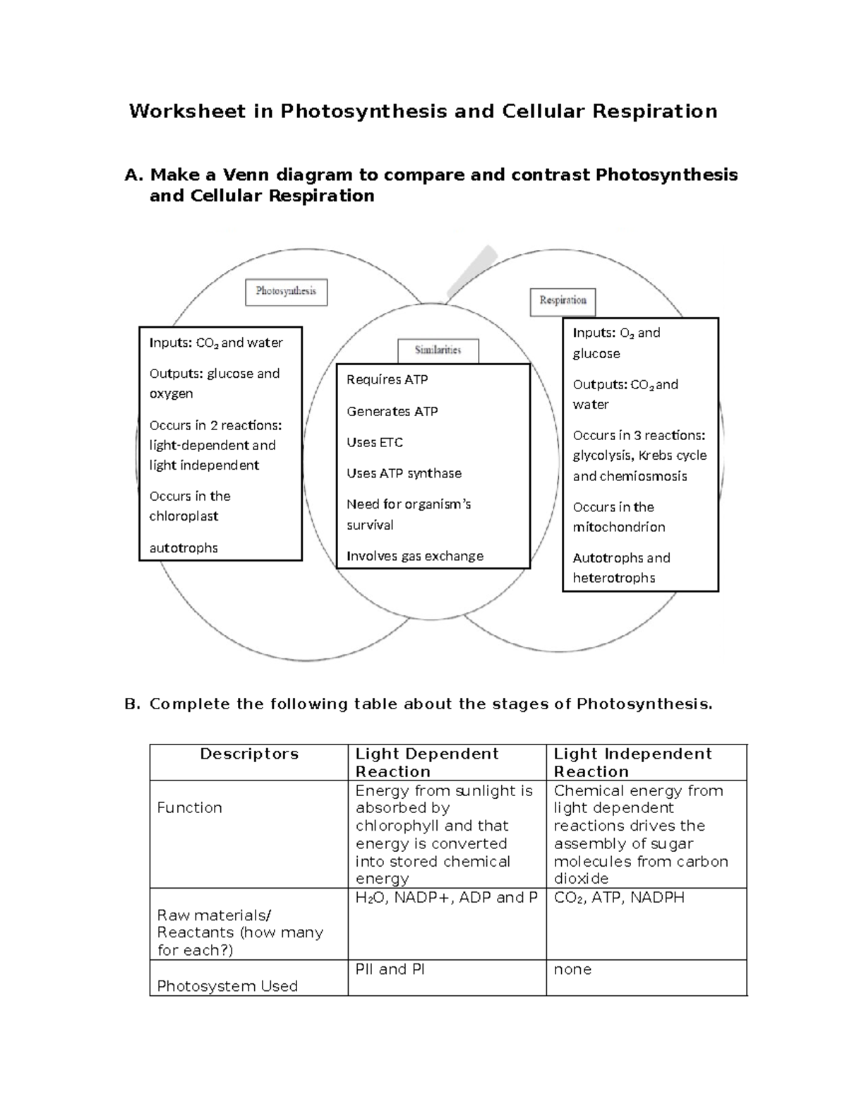 Worksheet in Photosynthesis and Cellular Respiration - Make a Venn diagram to compare and ...
