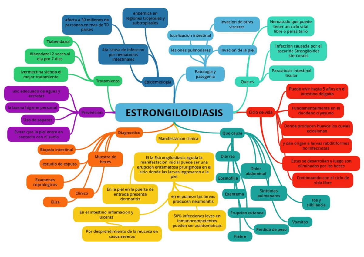 Mapa estrongiloidiasis - endemica en afecta a 30 millones de regiones ...