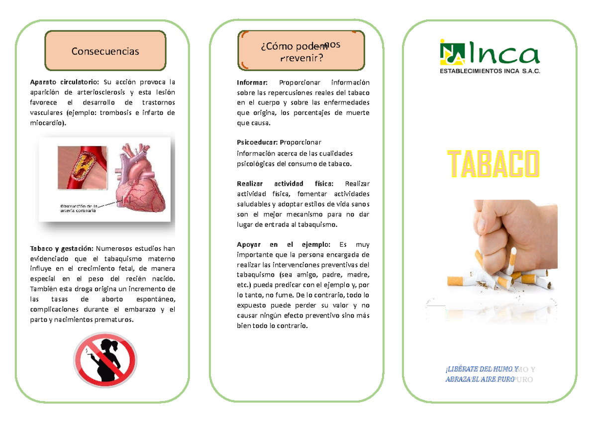Triptico Tabaco - trabajos actualizados - Aparato circulatorio: Su ...
