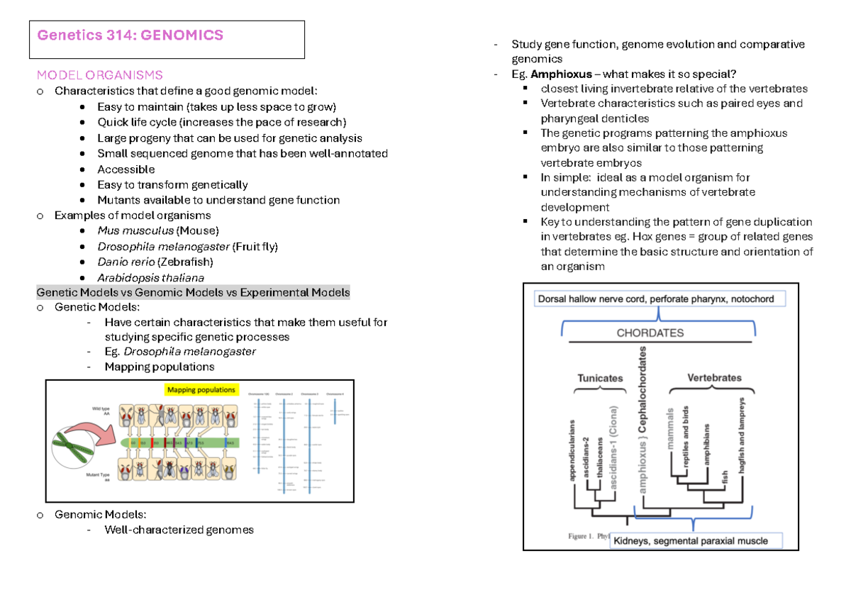Genomics - Summary Genetics 314 - MODEL ORGANISMS o Characteristics ...