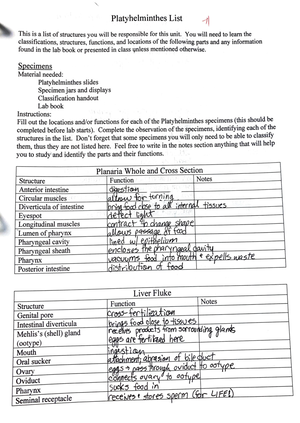 Zoology BIOL-1413 Support, Protection, and Movement - e \ SUPPORT ...