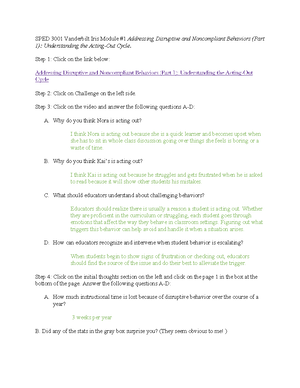 Vanderbilt IRIS Module- Functional Behavior Assessment - Name: Griffin ...