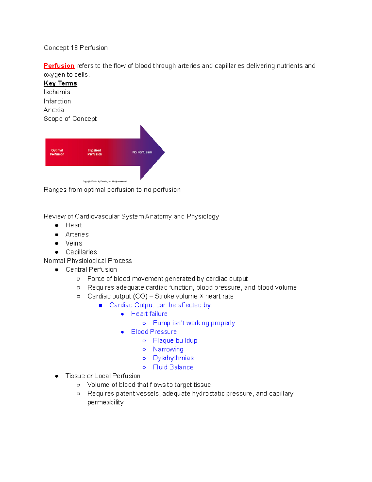 Giddens Perfusion - Study guide notes - Concept 18 Perfusion Perfusion ...