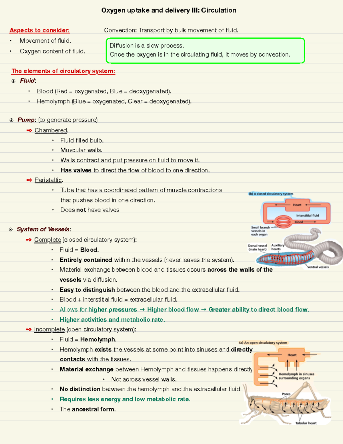 Animals midterm 2 notes - Convection: Transport by bulk movement of ...