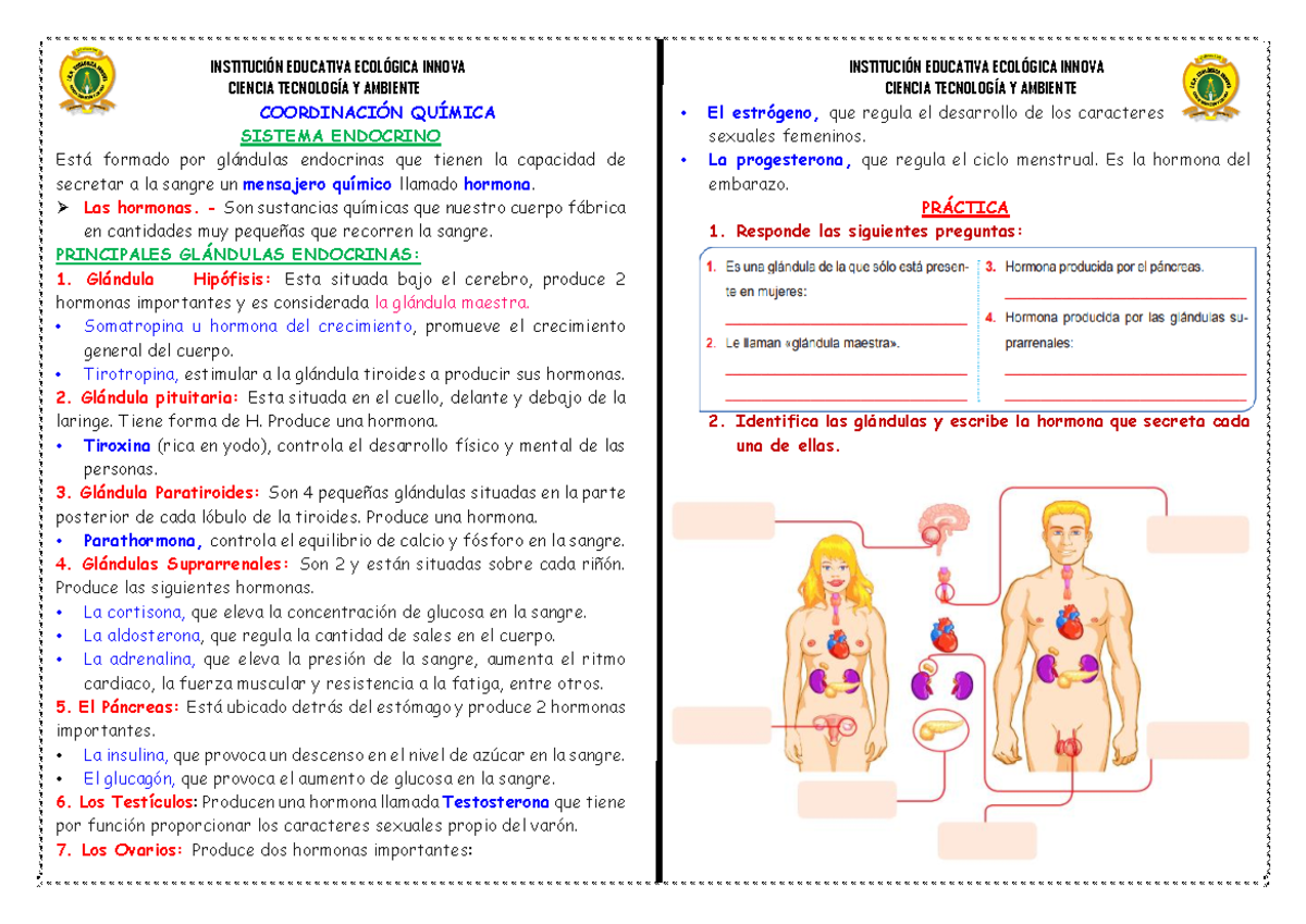 C.T.A - 5TO Practica-1 - INSTITUCI”N EDUCATIVA ECOL”GICA INNOVA ...
