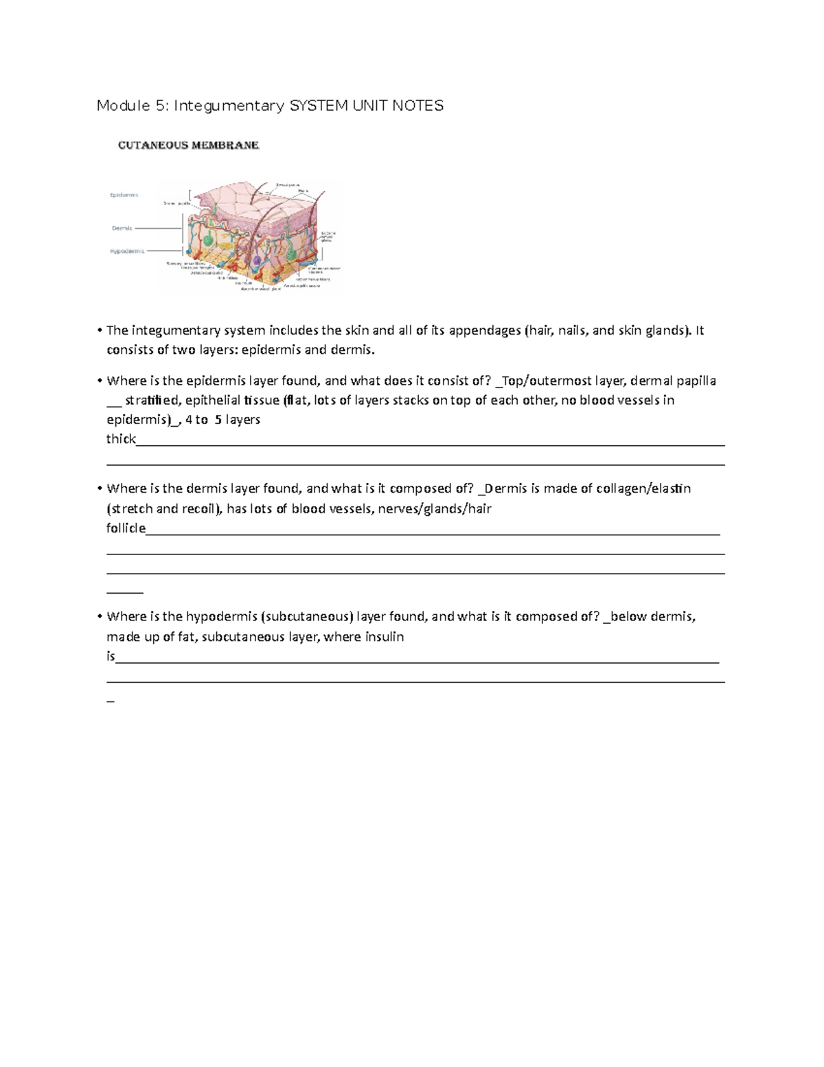 Module 5 - Integumentary System Notes - Module 5: Integumentary SYSTEM ...