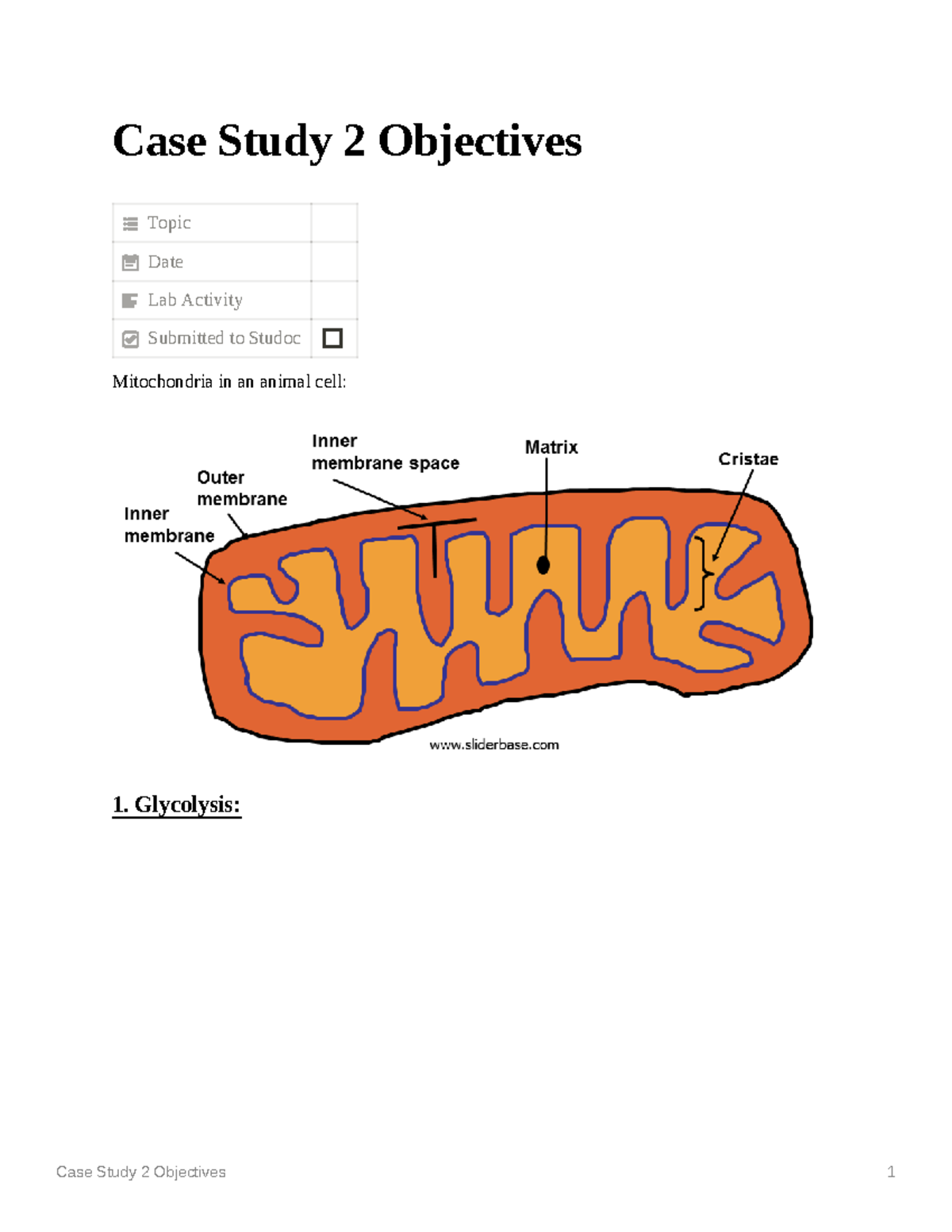 Case Study 2: Study Guide - Case Study 2 Objectives Topic Date Lab ...