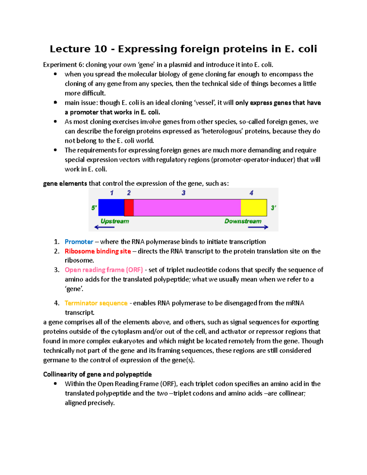 Lecture 10 - Expressing foreign proteins in E - 091132 - Studocu