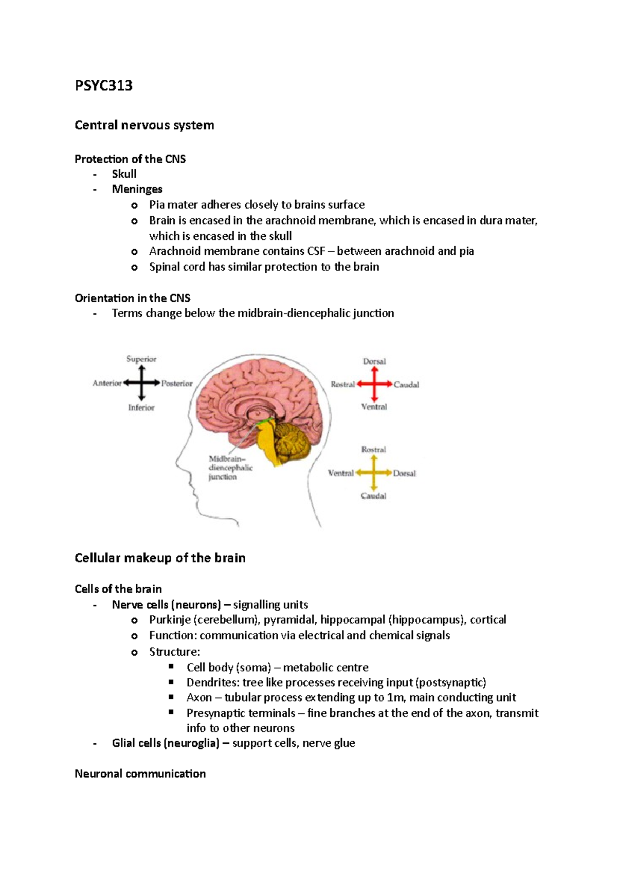 PSYC313 - Lecture notes 1-23 - PSYC Central nervous system Protection ...