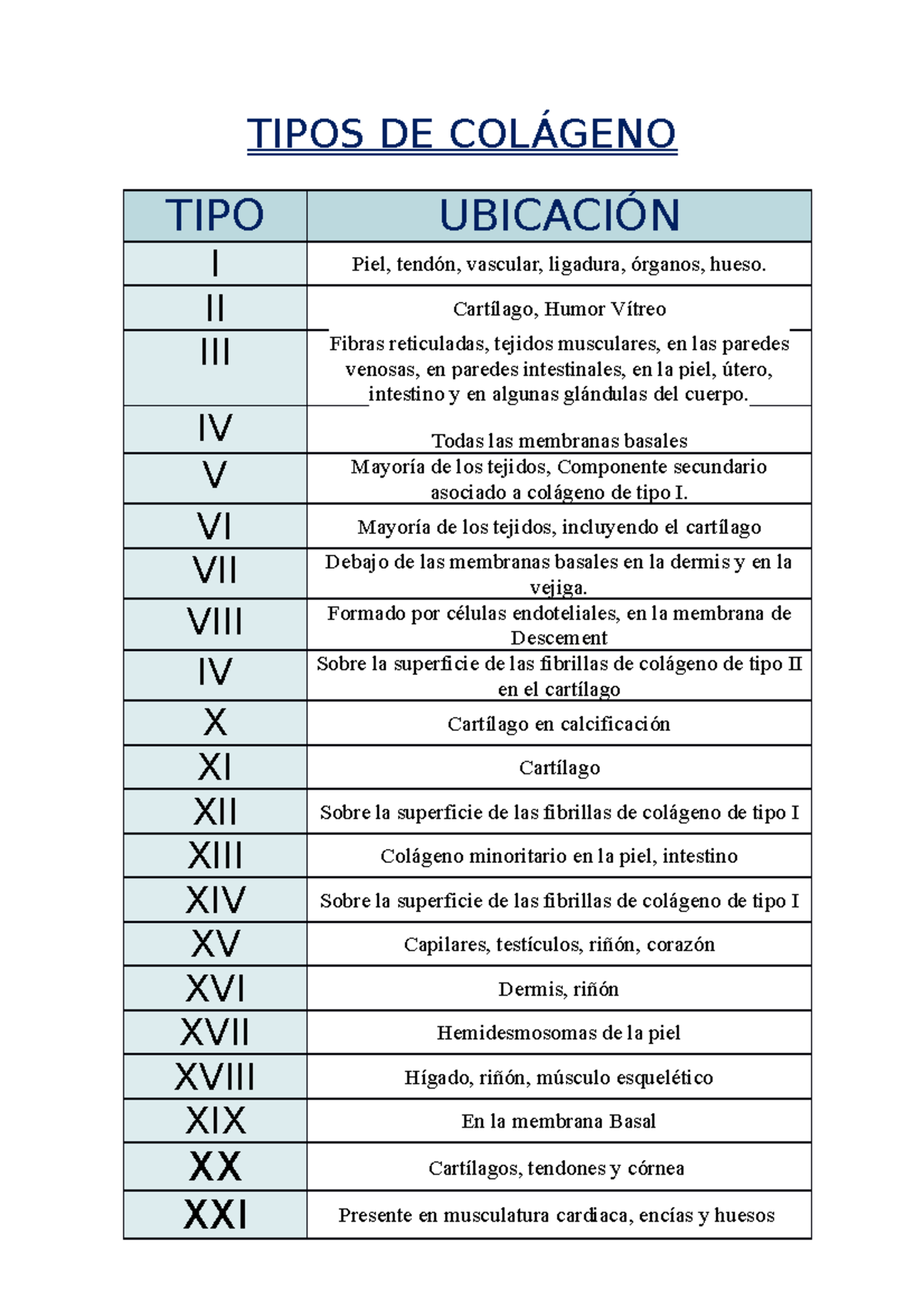 Tipos DE Colágeno - chdau - TIPOS DE COLÁGENO TIPO UBICACIÓN I Piel ...