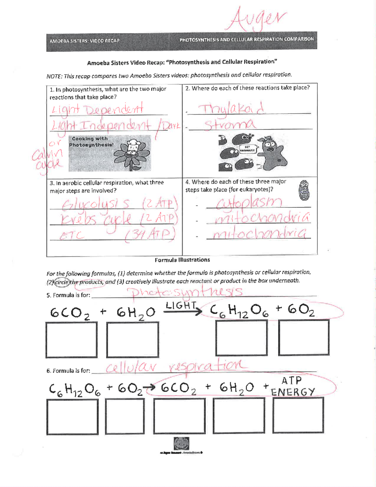 Photo vs CR Amoeba sisters p1 - Auger AMOEBA SISTERS: VIDEO RECAP ...