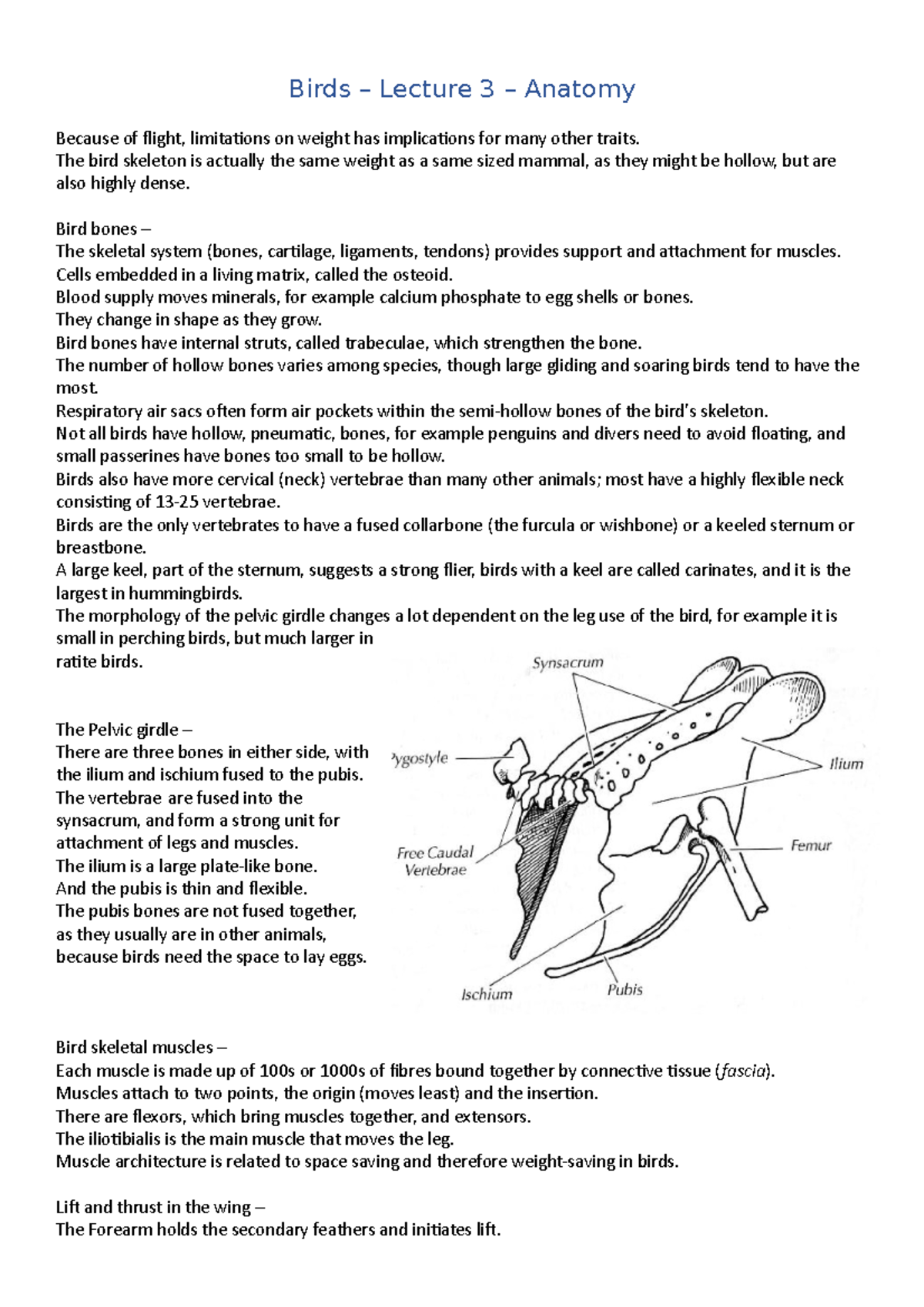 Birds: Diversity, Behaviour and Conservation Lecture 3 - Birds ...