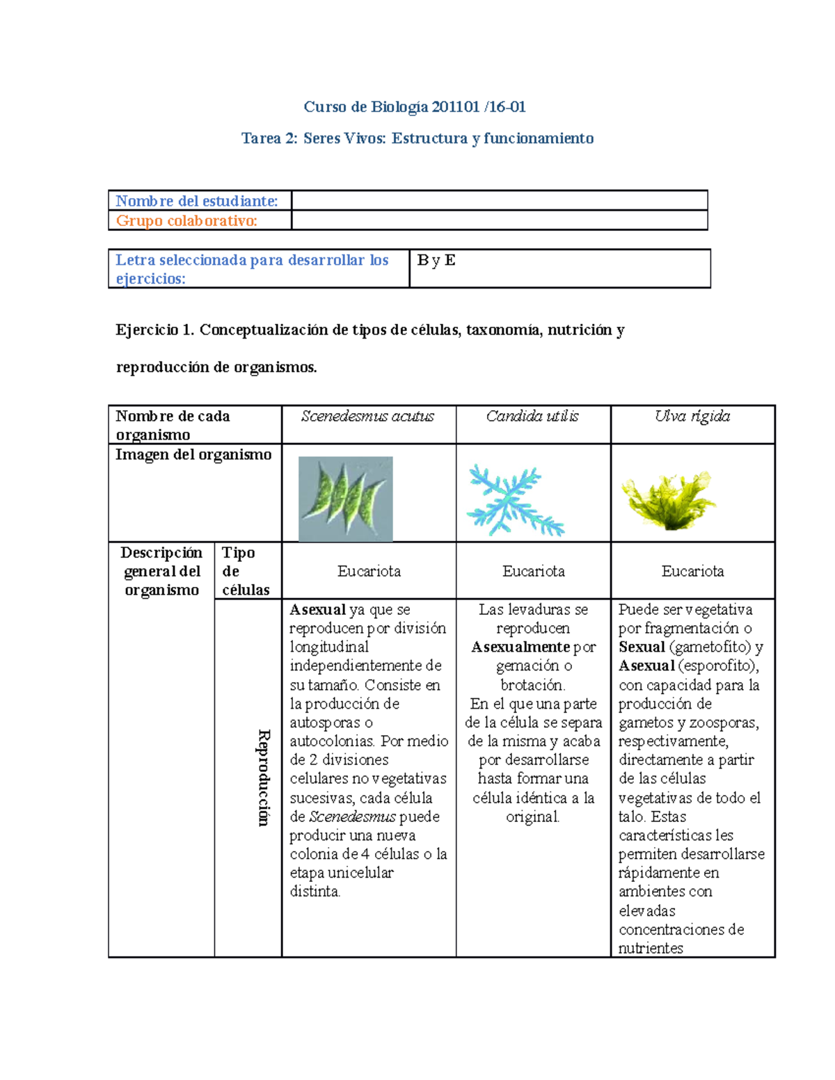 Tarea 2. Seres vivos-Estructura y funcionamiento - Curso de Biología ...