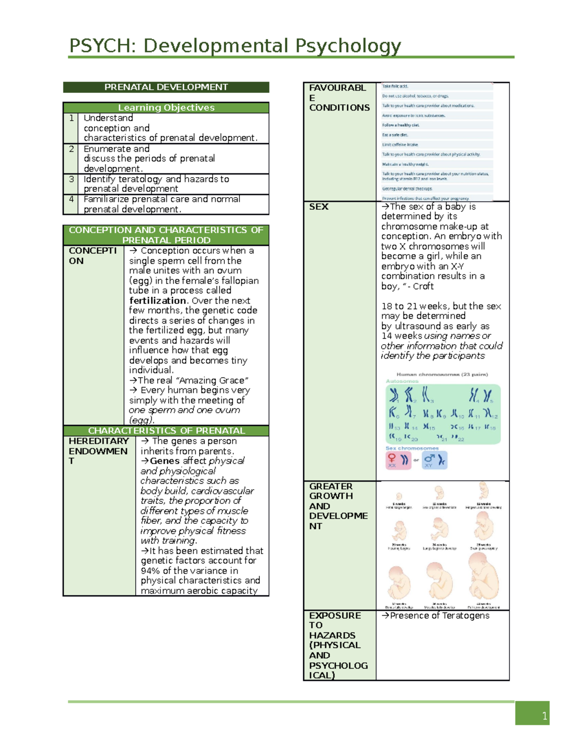 Chap 3 dev psy: prenatal development - PRENATAL DEVELOPMENT Learning ...