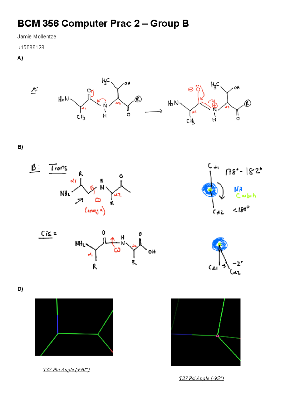 BCM 356 Computer Prac 2 - BCM 356 Computer Prac 2 – Group B Jamie ...