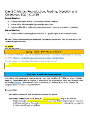 Synthetic vs Natural Sponge Lab - Synthetic versus Natural Sponges ...