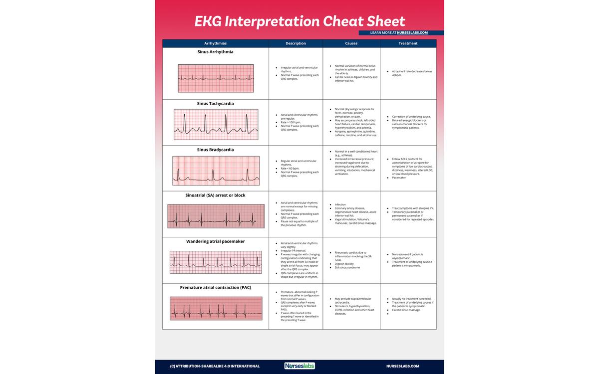 EKG and lab values information - NUR 3160 - Studocu