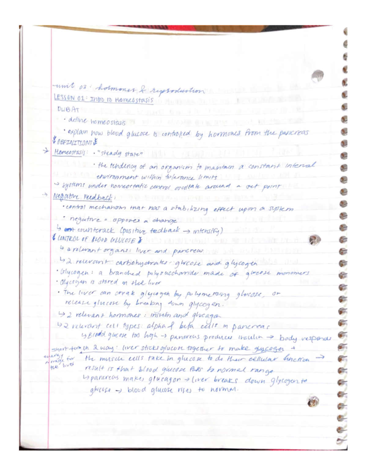 Unit 3 Hormones and Reproduction - BIO 202 - Studocu