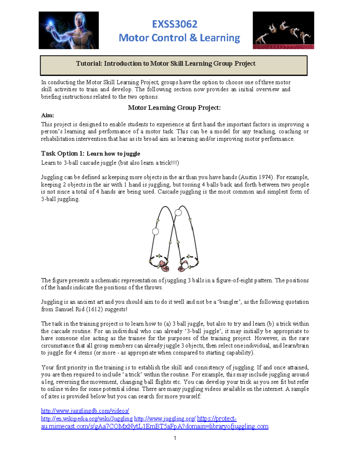 Motor Learning Project - Overview S1 2023-1 - Motor Control & Learning ...