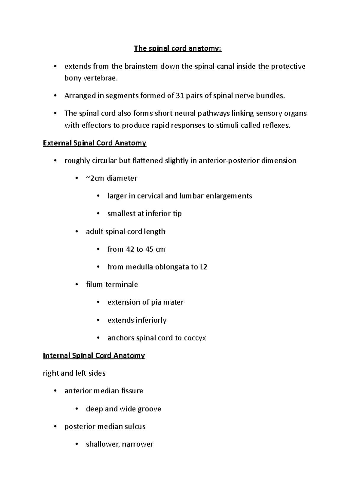 Spinal cord anatomy - Lecture notes 3-7 - The spinal cord anatomy ...