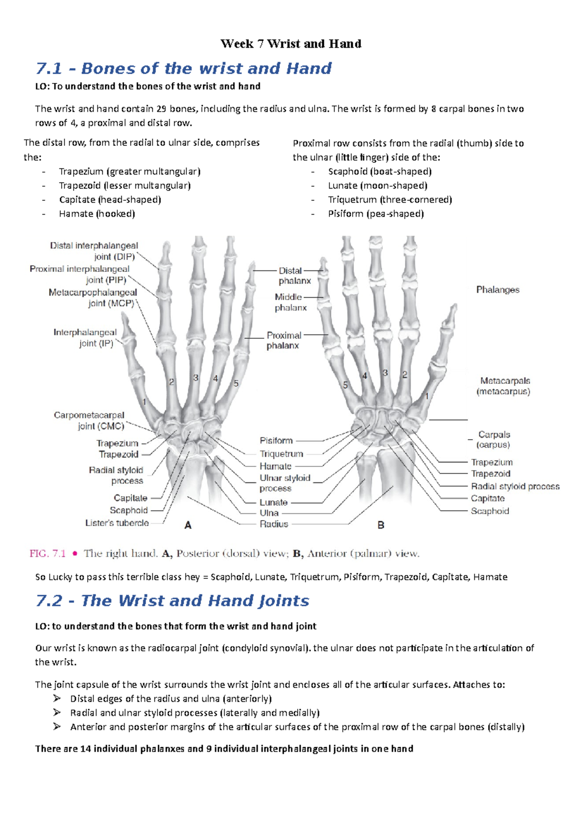 Week 7 Wrist and Hand - muscles, bones and movements - Manual of ...