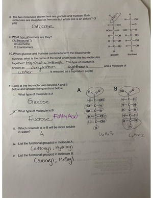 OSC Biology Ch 14 - DNA Structure and Replication - 14 | DNA STRUCTURE ...