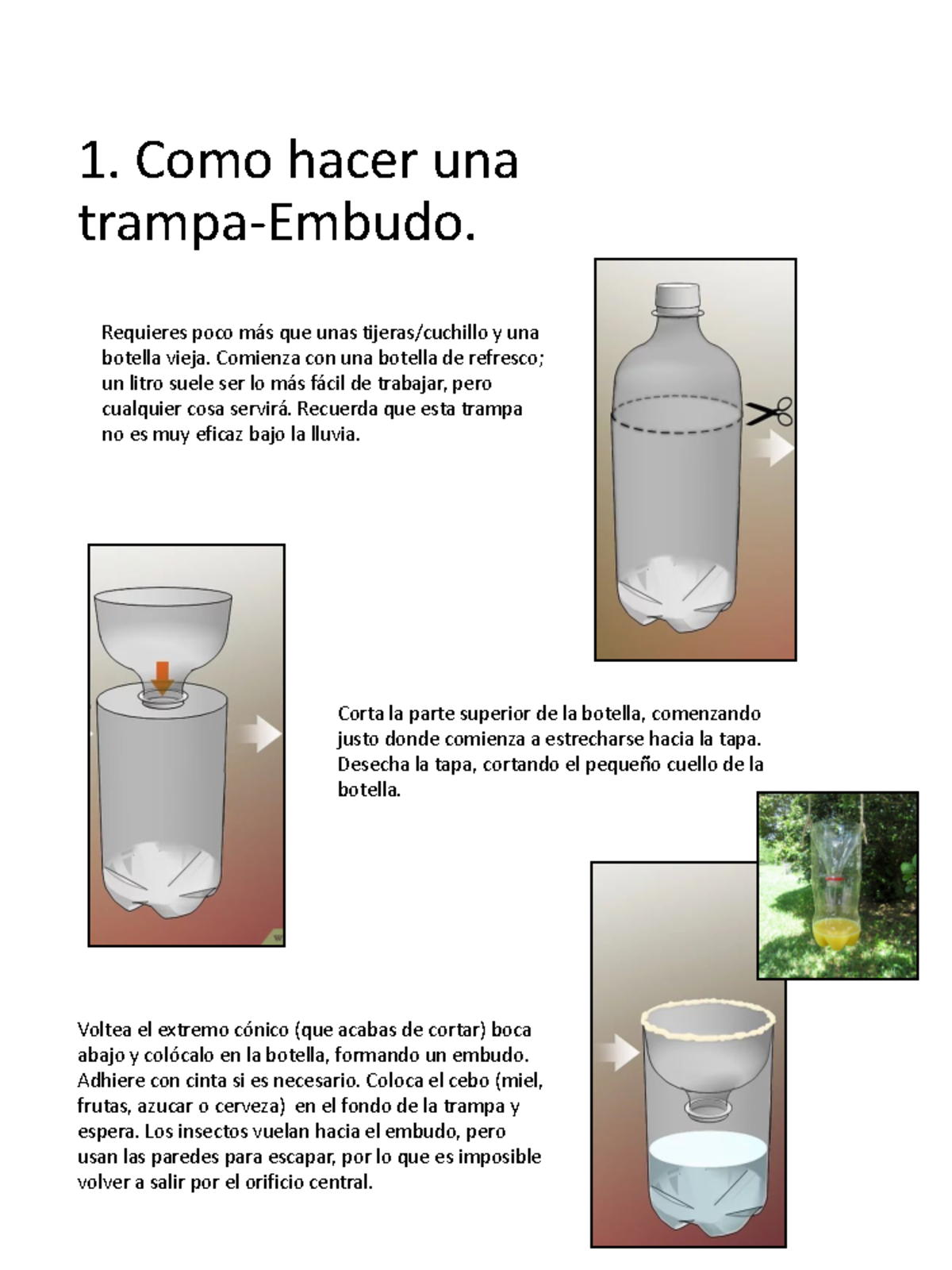 Como hacer trampas para insectos voladores - 1. Como hacer una trampa-Embudo. Requieres poco más ...