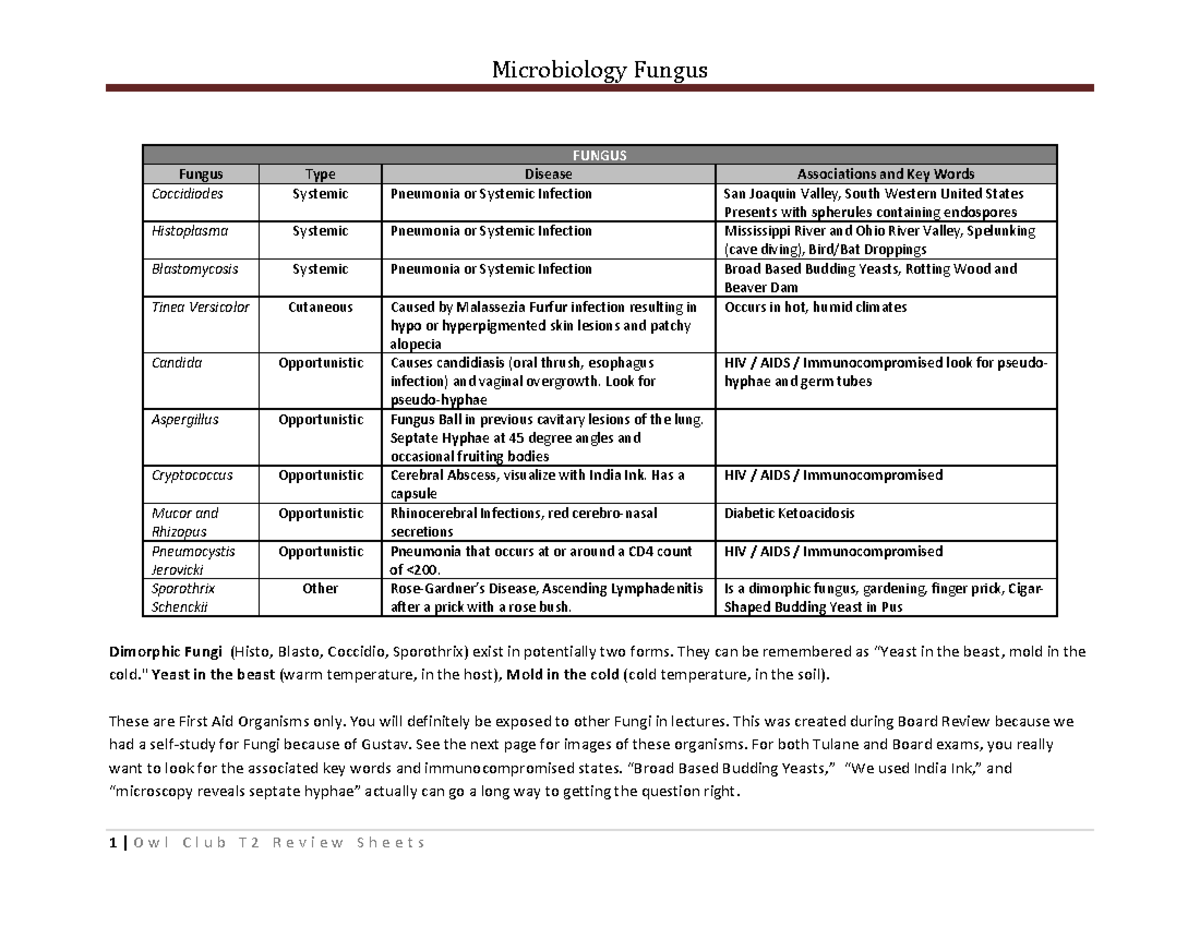 Microbiology fungus 1 - Microbiology Fungus 1 | Owl Club T2 Review ...
