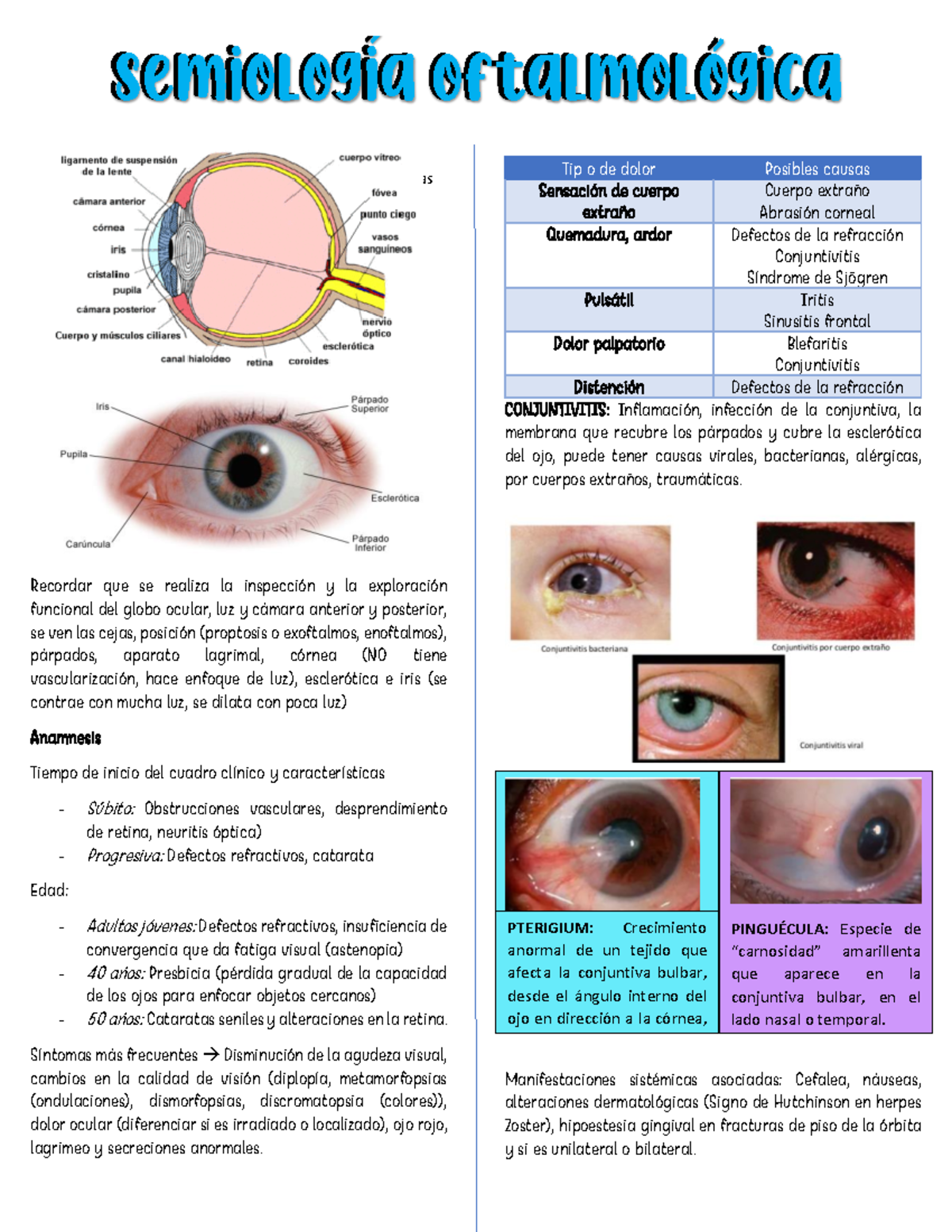 Semiología DEL OJO - El ojo es el Ûrgano de la visiÛn, es el ̇nico ...