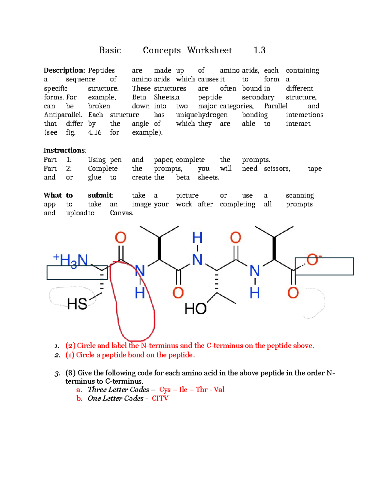 Worksheet 1.3 2022/2023 - Basic Concepts Worksheet 1. Description ...