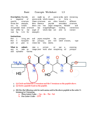 biochemistry 330 concept worksheet - Basic Concepts Worksheet 1 ...