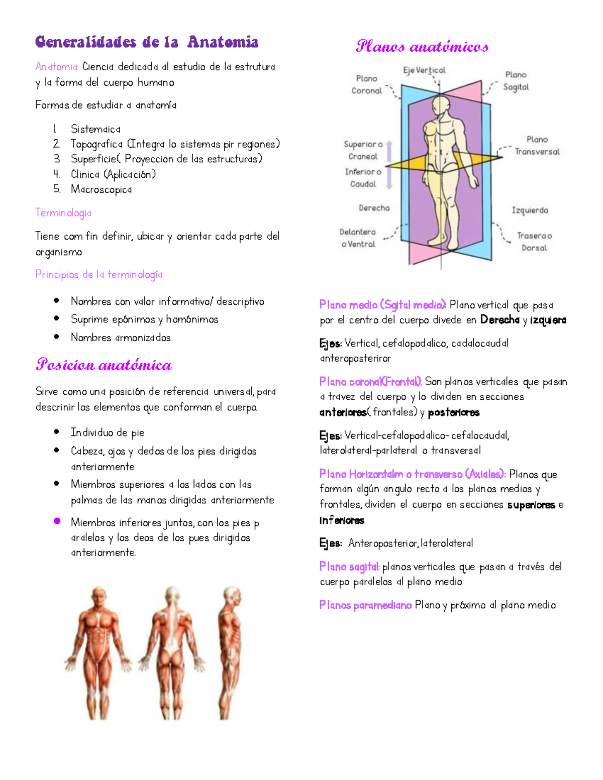 Generalidades de la Anatomia - Generalidades de la Anatomia Anatomia ...