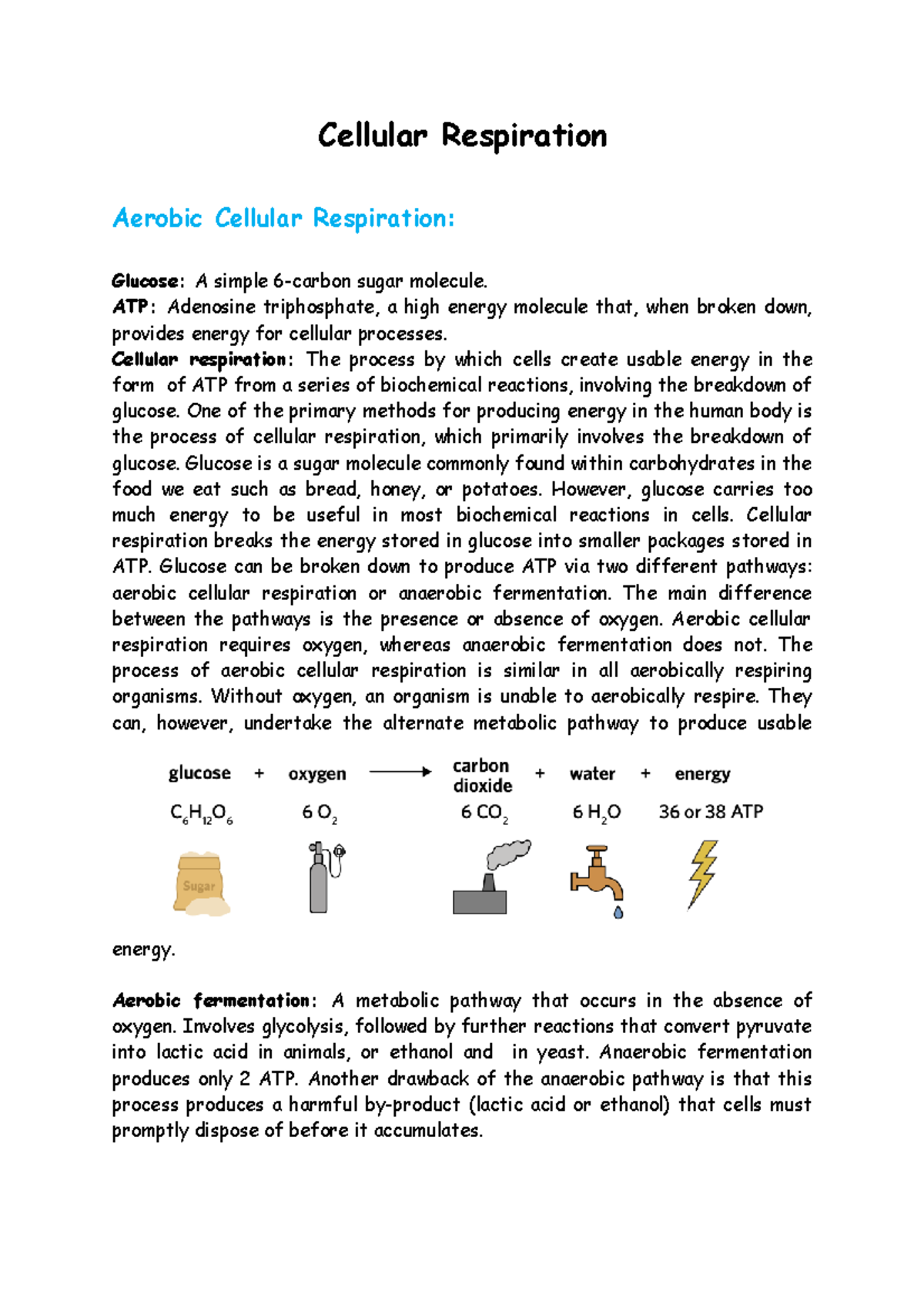 Cellular Respiration - ......... - Cellular Respiration Aerobic ...