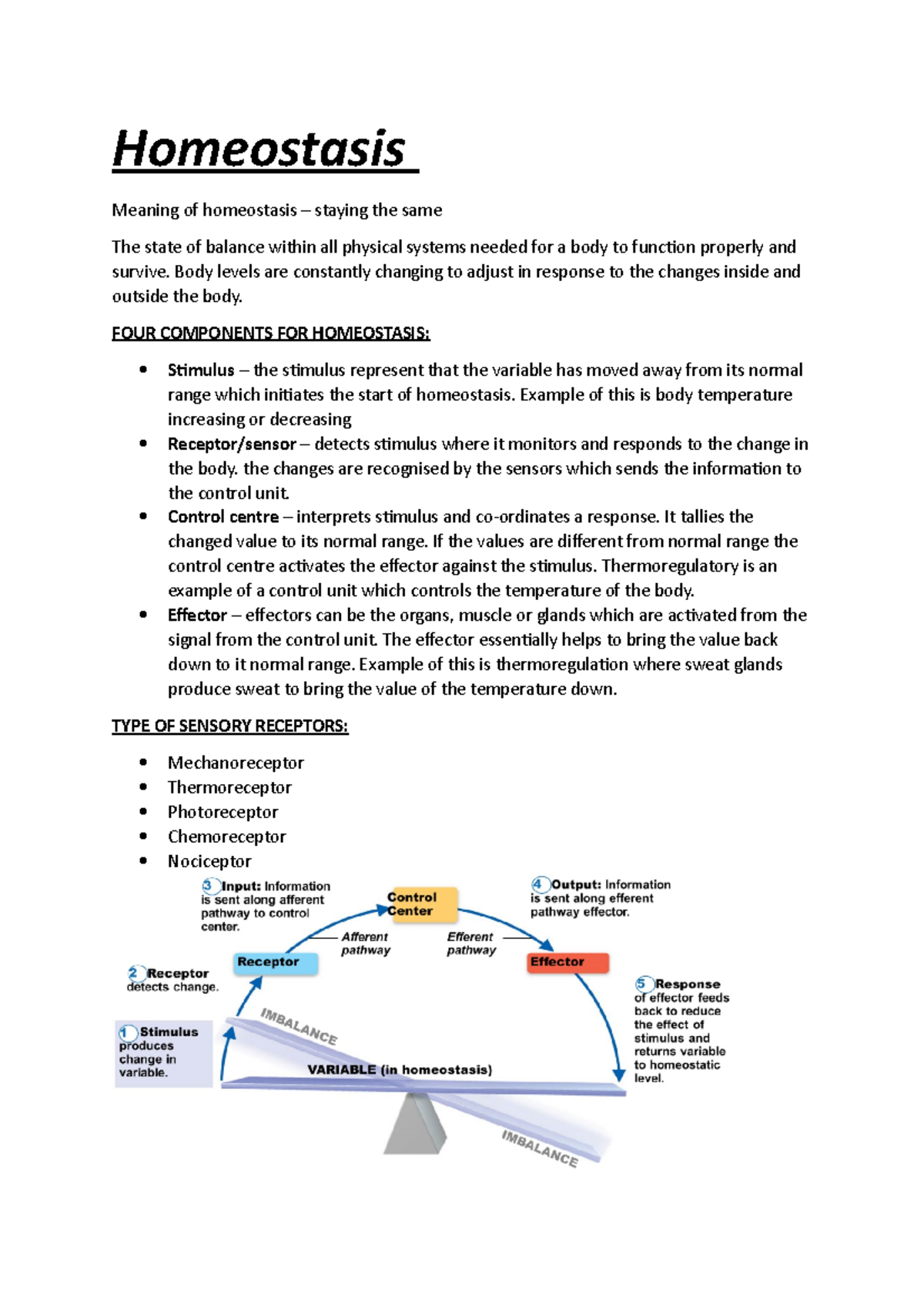 Homeostasis - Body levels are constantly changing to adjust in response ...