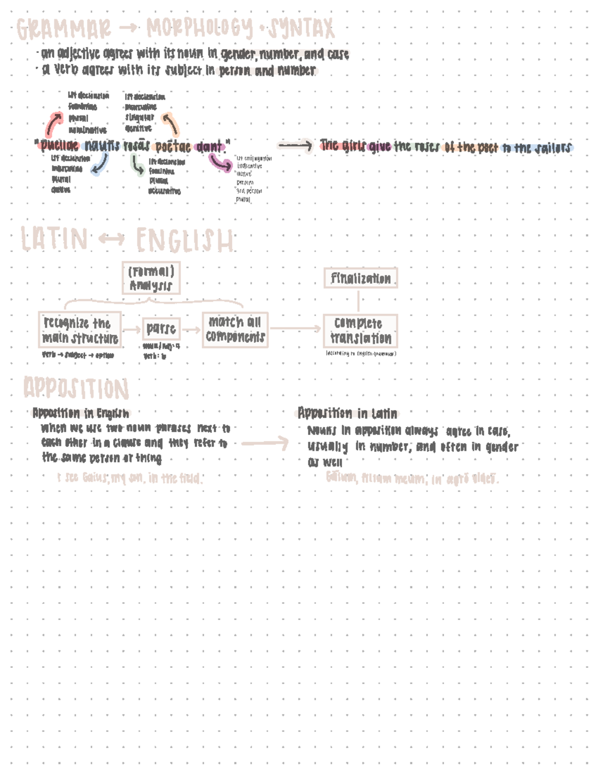 English and Latin Grammar - GRAMMAR → MORPHOLOGY + SYNTAX ...