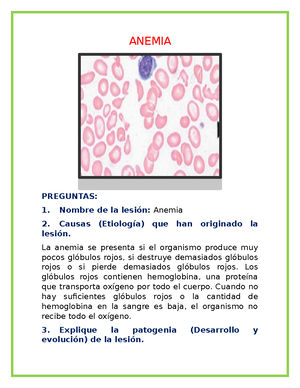 10. Células Lábiles, Células Permanentes Y Células Estables - CÉLULAS ...