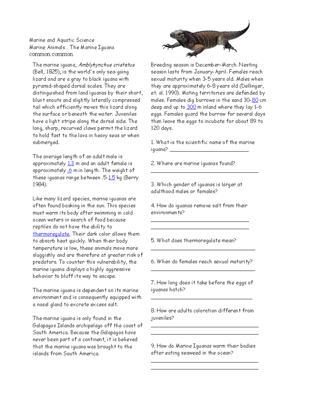 Pietro Student - Marine Iguanas - Marine and Aquatic Science Marine ...