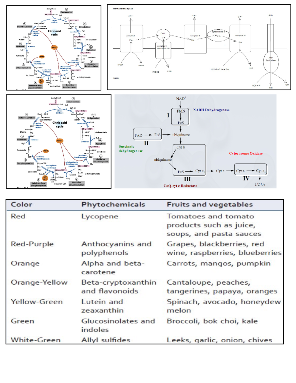 Metab Chem Bio Print - Chemical Biology 2 - Studocu